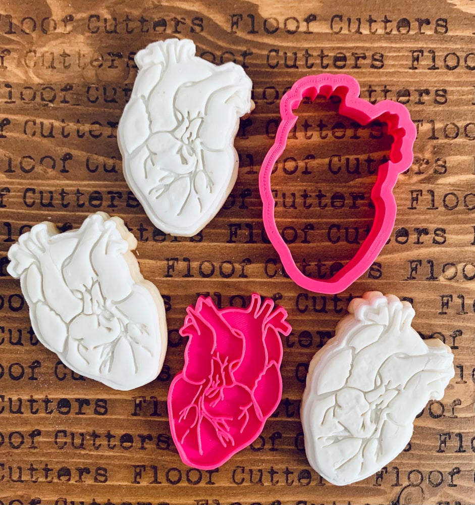 Anatomical Heart Cutter and Stamp – Floof Cutters
